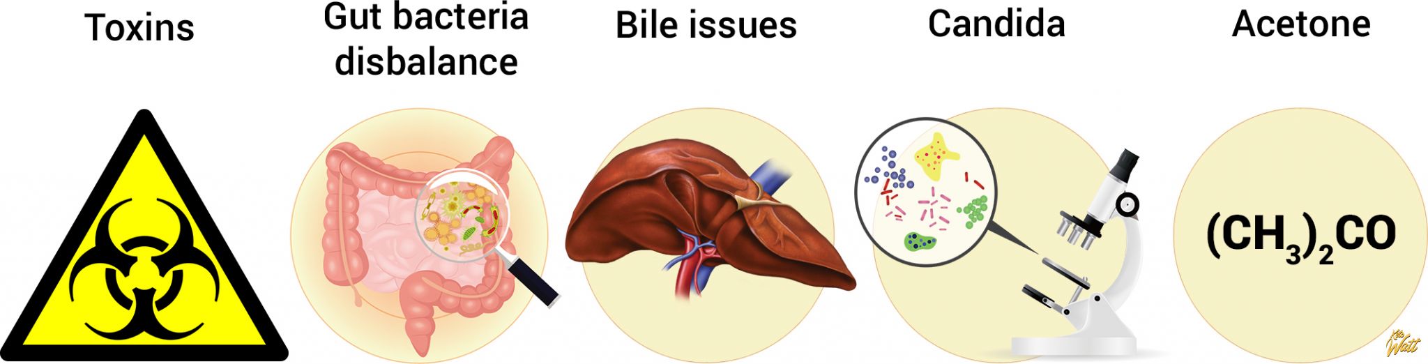 Keto Rash Guide: Causes and Remedies For Low Carb Itch